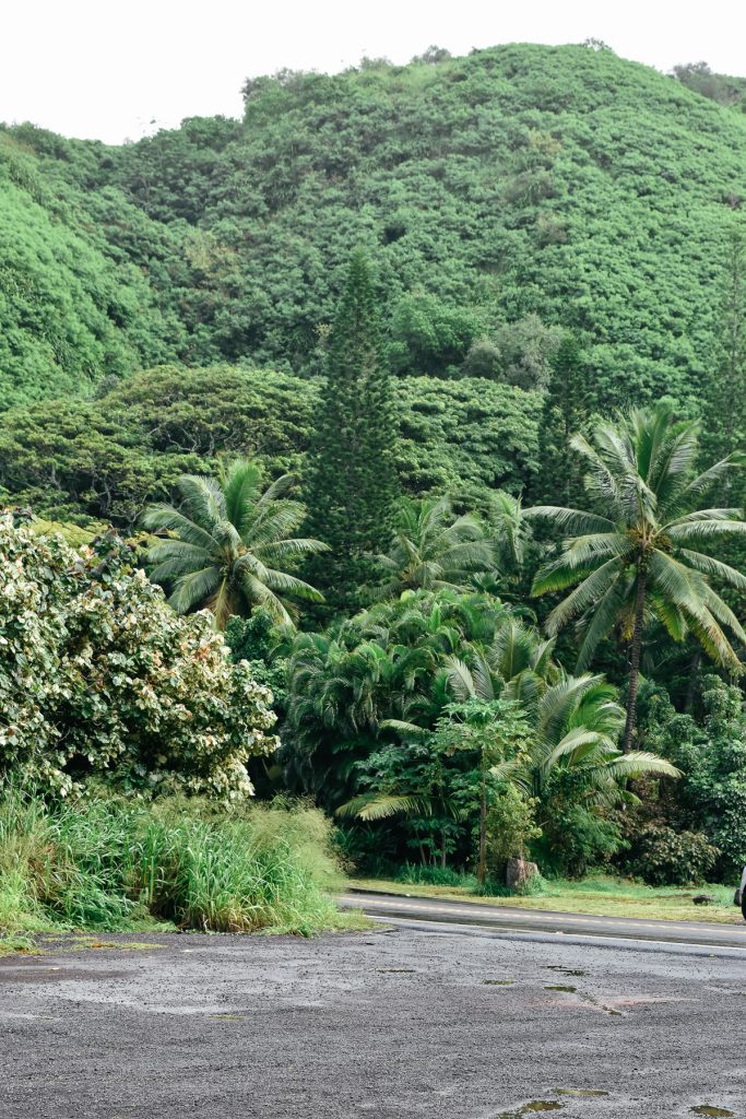 Decade of Aloha with Alaska Air: Maui Travel Guide - The Kachet Life